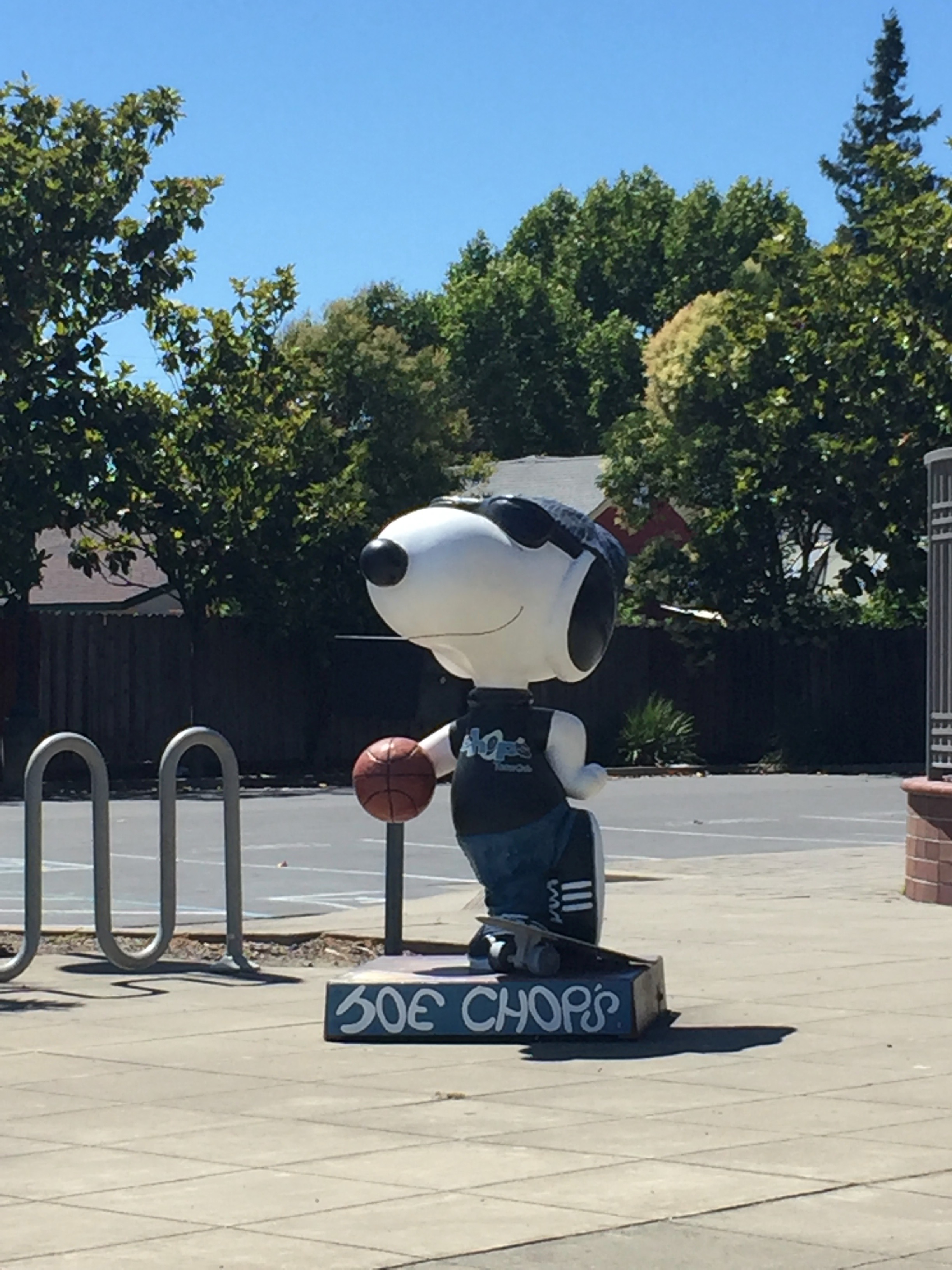 Jackie Chen - Memorable Photos and Videos